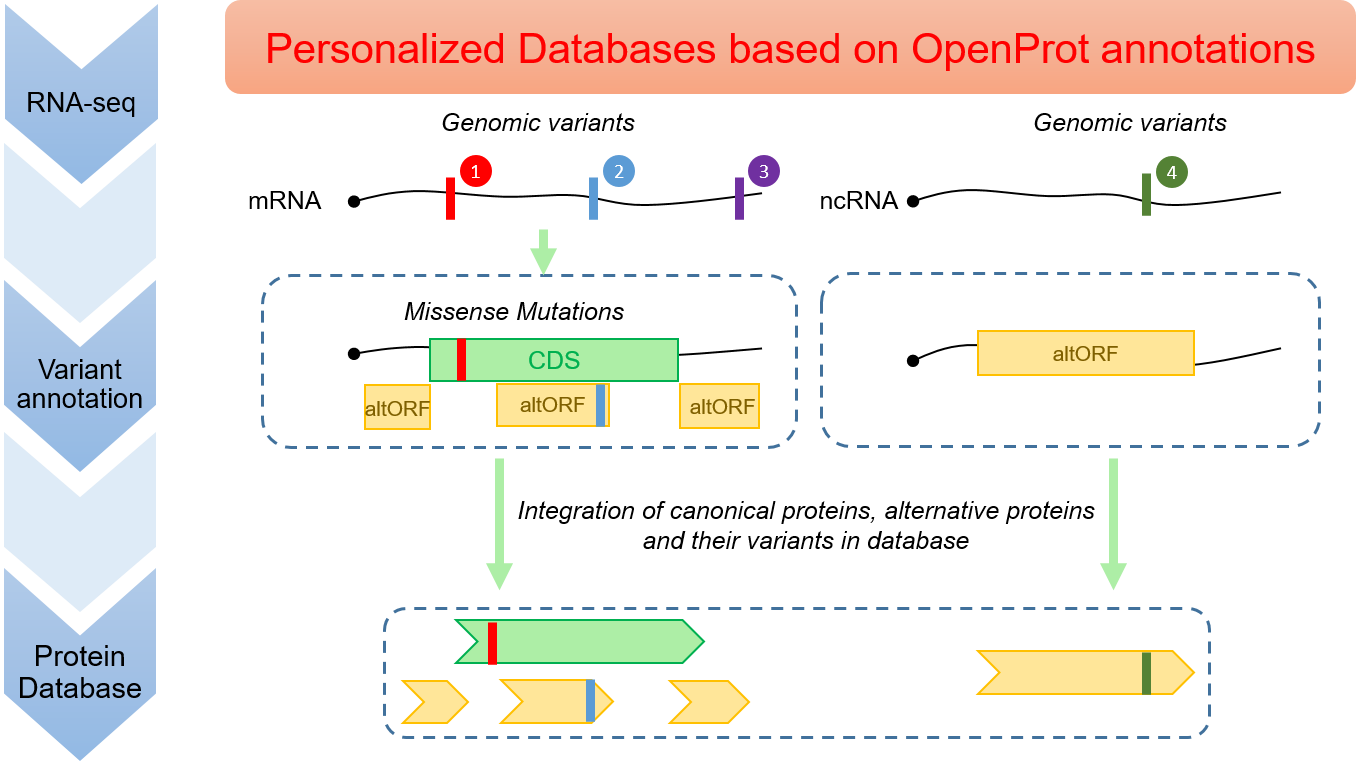 OpenCustomDB